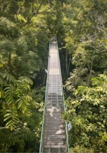 Guide to Sandakan and Sepilok: Wildlife Conservation in Borneo