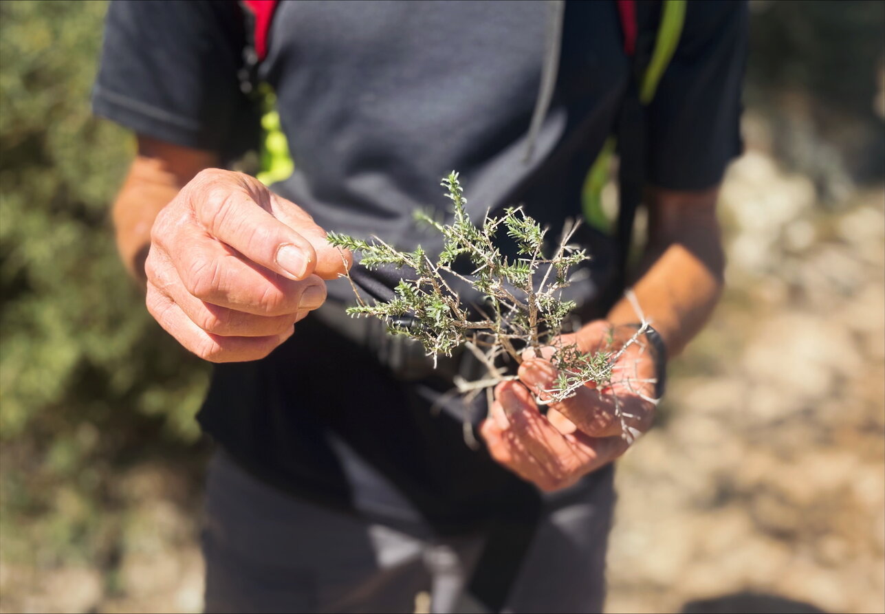 Aphrodite Nature Trail in Cyprus - Hiking & Mythology