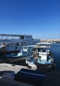 11 Things to Do in Paphos: What to See, Do and Eat